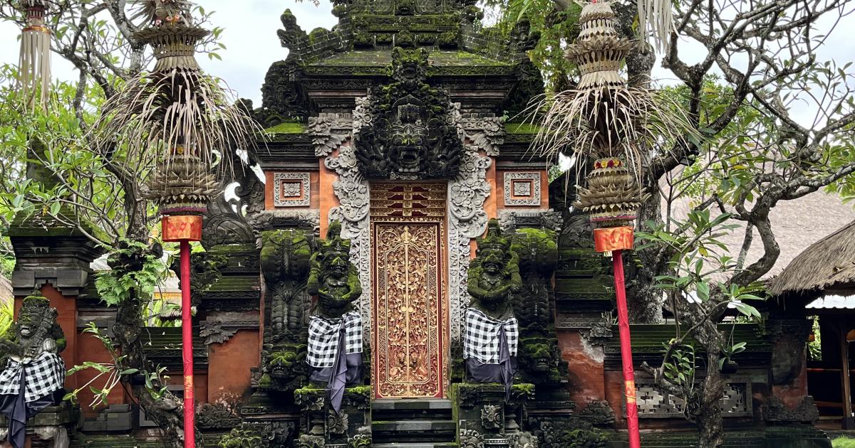 Den danske konge af Bali - Mads Lange | Københavns Biblioteker