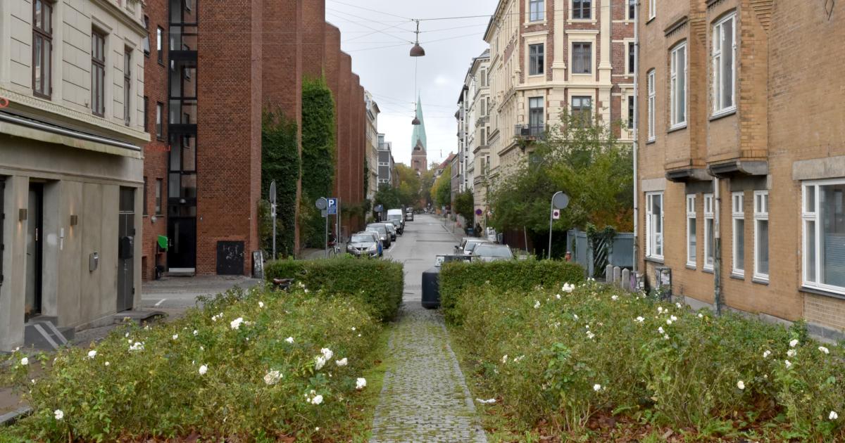 Korsgade – en gade i sorte firkant | Københavns Biblioteker